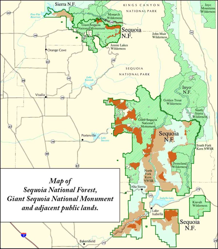 Giant Sequoia National Monument | Giant Sequoia